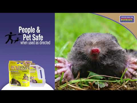 Bonide MOLEMAX Mole & Vole Repellent Granules Pallet - 10 Lb