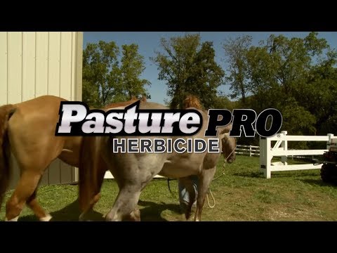 Gordon's Pasture Pro Herbicide