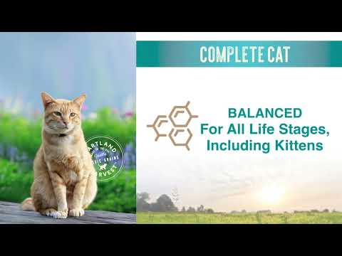 Heartland Harvest Complete Cat with Classic Whole Grains Real Chicken ...