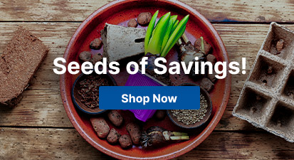Theisen's Home Farm Auto | More For You!