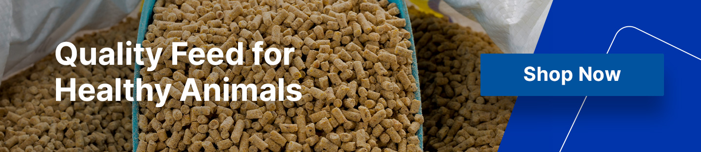 Theisen's Home Farm Auto | More For You!