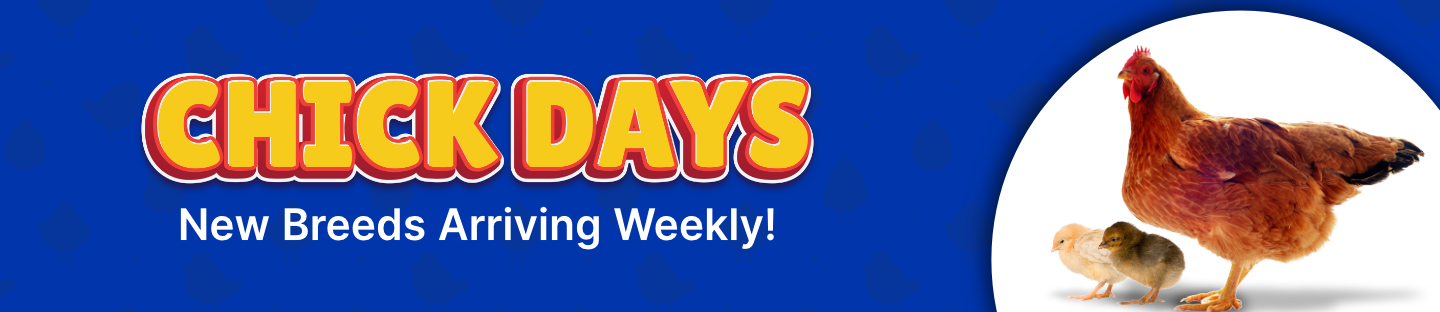 Theisen's Home Farm Auto | More For You!