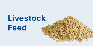 Theisen's Home Farm Auto | More For You!